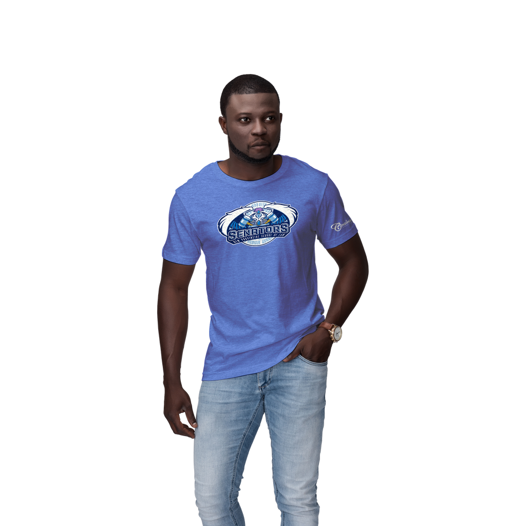 New Provincial School of Law — Mascot